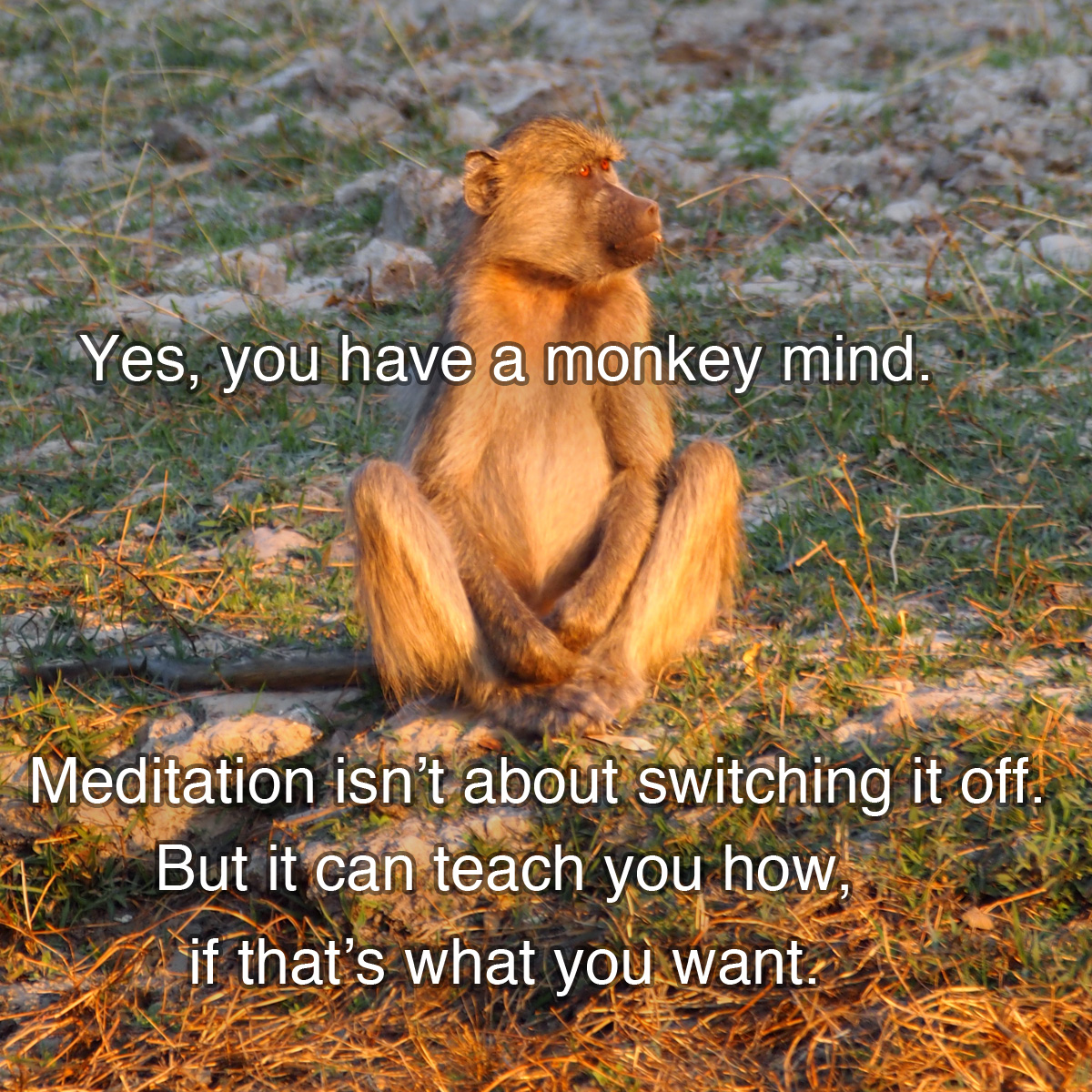 Day 1 - Busting the #1 Meditation Myth & The 3 Keys To Successful Meditation ~ Clare Josa ...